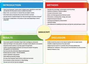 The Art of Manuscript Writing