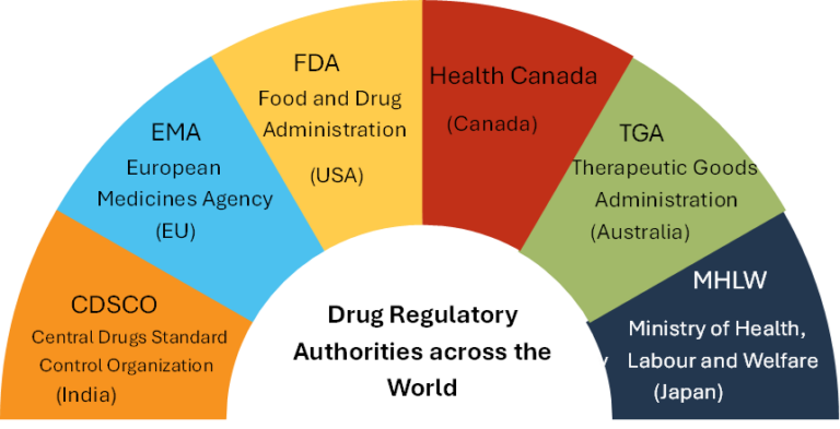 Medical Writing Approaches: Key Differences Between Regulatory ...